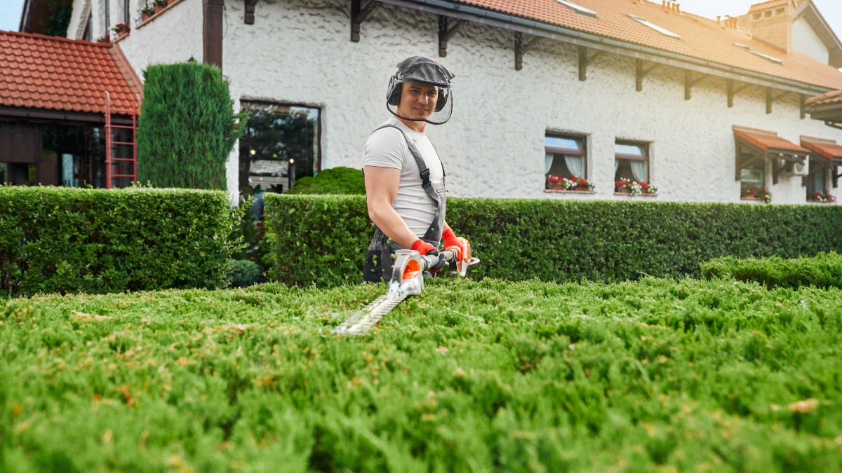 Леска на триммере долго не рвется: есть несколько хитростей — служит ...